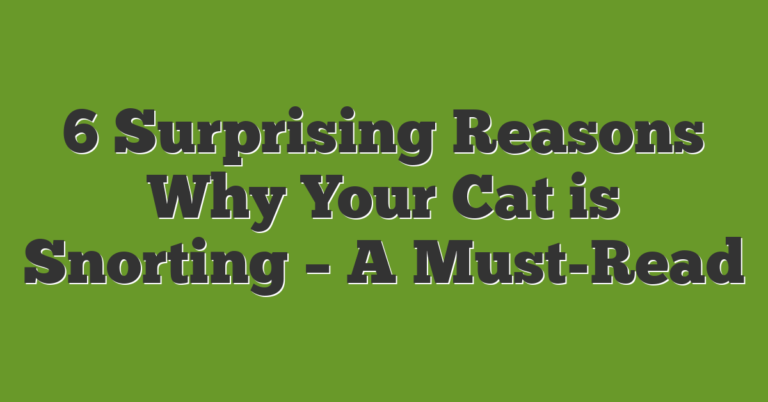 6 Surprising Reasons Why Your Cat Is Snorting - A Must-Read
