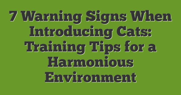 7 Warning Signs When Introducing Cats: Training Tips For A Harmonious ...