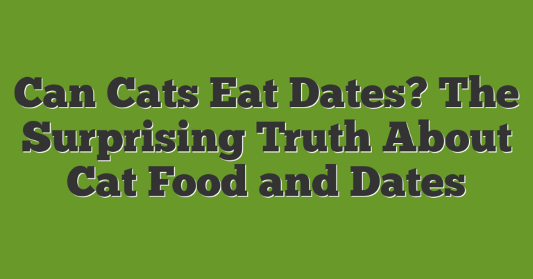 Can Cats Eat Dates? The Surprising Truth About Cat Food And Dates