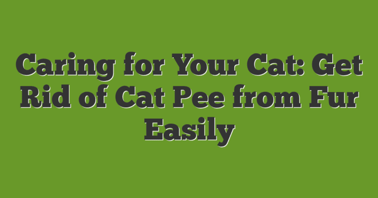 Caring For Your Cat: Get Rid Of Cat Pee From Fur Easily