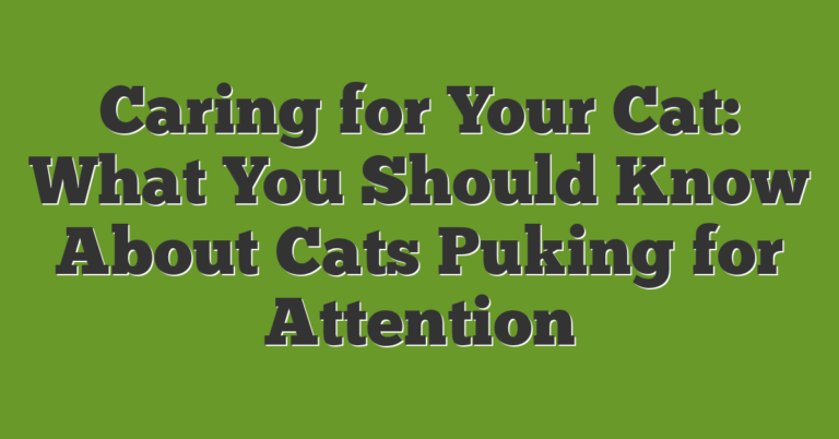 Caring For Your Cat: What You Should Know About Cats Puking For Attention