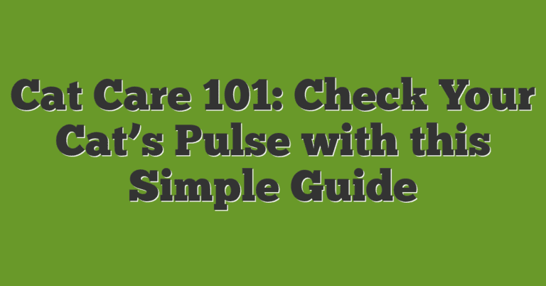 Cat Care 101: Check Your Cat's Pulse With This Simple Guide
