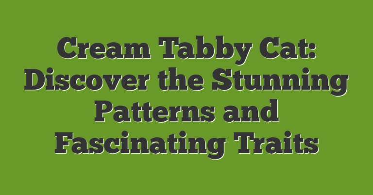 Cream Tabby Cat: Discover The Stunning Patterns And Fascinating Traits