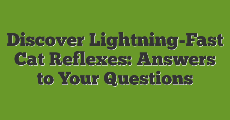 Discover Lightning-Fast Cat Reflexes: Answers To Your Questions