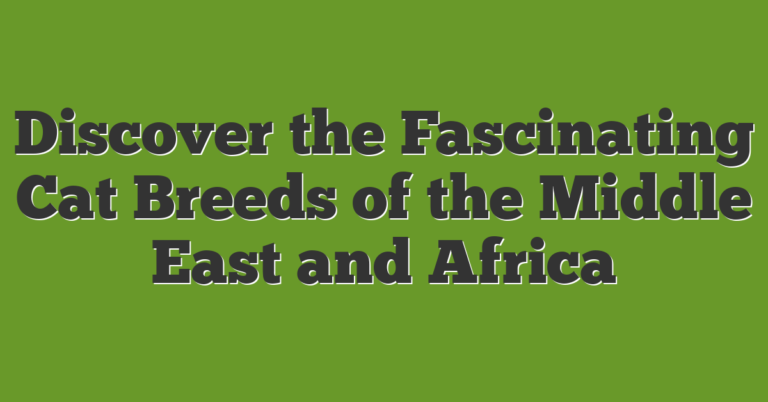 Discover The Fascinating Cat Breeds Of The Middle East And Africa
