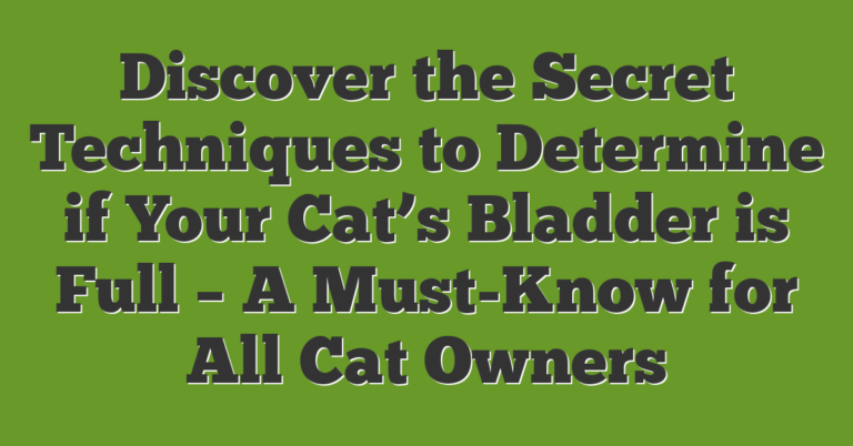 Discover The Secret Techniques To Determine If Your Cat's Bladder Is ...