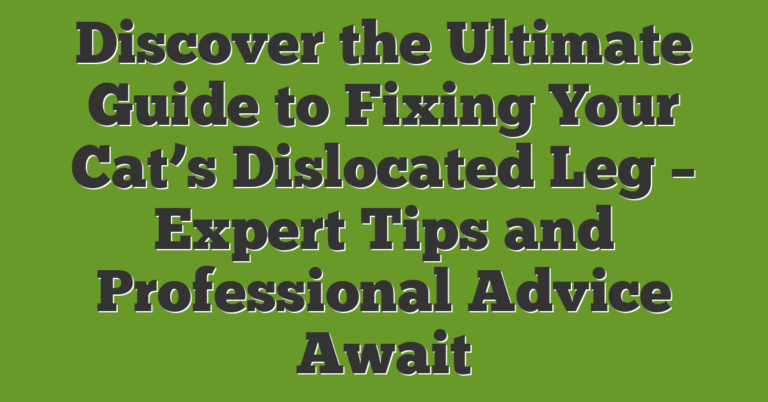 Discover The Ultimate Guide To Fixing Your Cat's Dislocated Leg ...