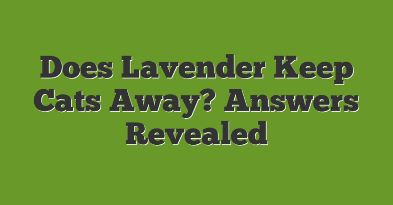Does Lavender Keep Cats Away? Answers Revealed