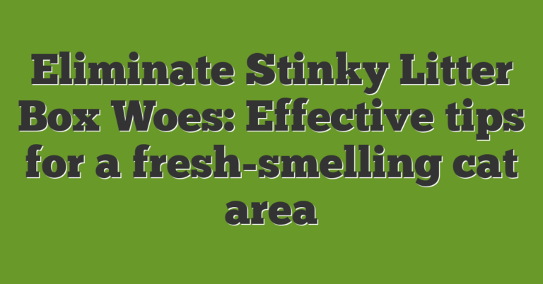 Eliminate Stinky Litter Box Woes: Effective Tips For A Fresh-smelling ...