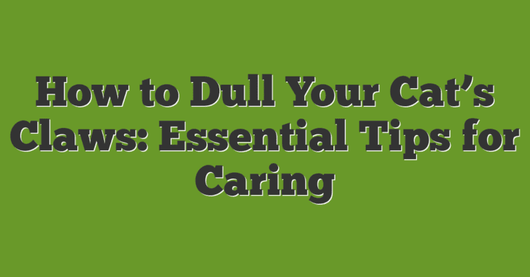 How To Dull Your Cat's Claws: Essential Tips For Caring