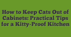 How To Keep Cats Out Of Cabinets: Practical Tips For A Kitty-Proof Kitchen