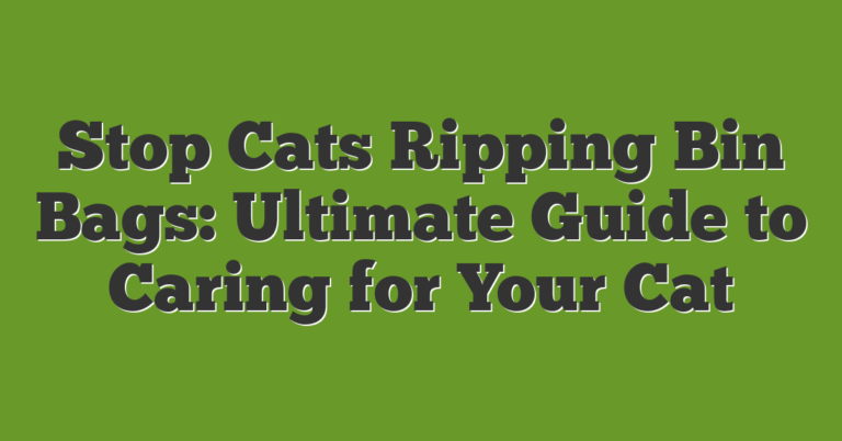 Stop Cats Ripping Bin Bags: Ultimate Guide To Caring For Your Cat