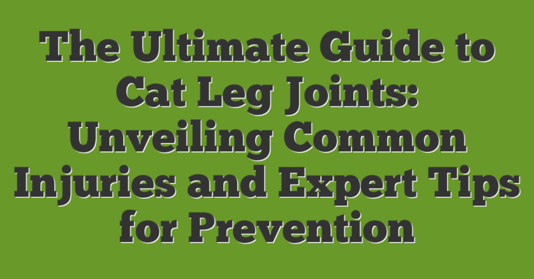 The Ultimate Guide To Cat Leg Joints: Unveiling Common Injuries And ...