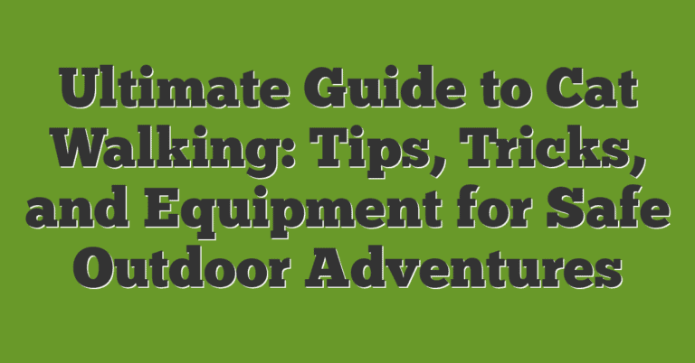 Ultimate Guide To Cat Walking: Tips, Tricks, And Equipment For Safe ...