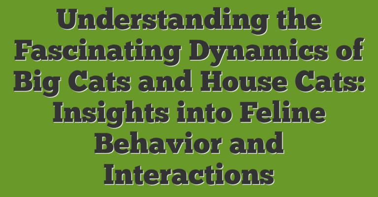 Understanding The Fascinating Dynamics Of Big Cats And House Cats ...