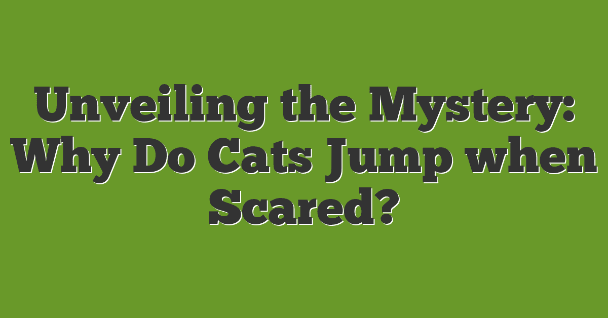 Unveiling The Mystery: Why Do Cats Jump When Scared? Unveiling The Mystery: Why Do Cats Jump When Scared?