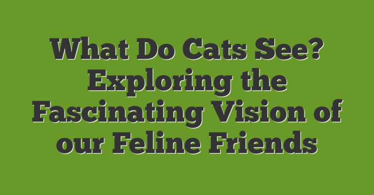 What Do Cats See? Exploring The Fascinating Vision Of Our Feline Friends