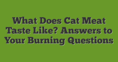 What Does Cat Meat Taste Like? Answers To Your Burning Questions