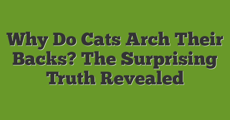 Why Do Cats Arch Their Backs? The Surprising Truth Revealed