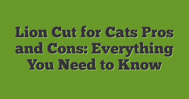 Lion Cut For Cats Pros And Cons: Everything You Need To Know