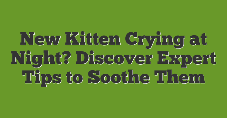 New Kitten Crying At Night? Discover Expert Tips To Soothe Them
