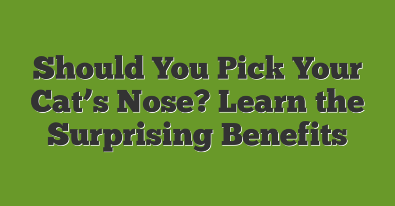 Should You Pick Your Cat's Nose? Learn The Surprising Benefits
