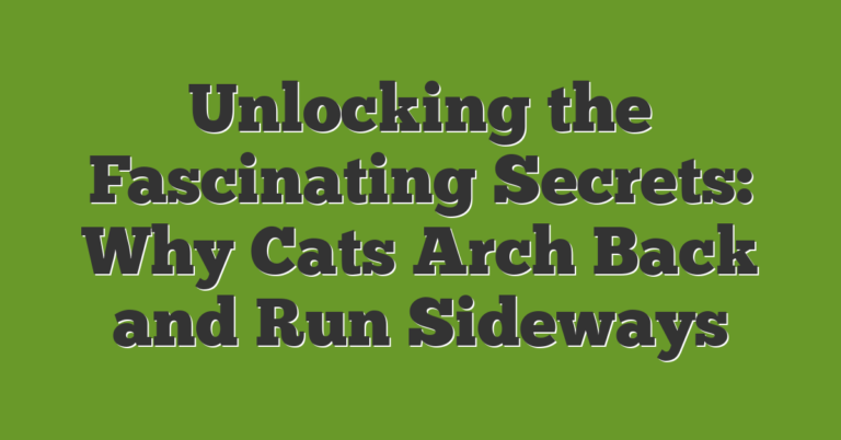Why Do Cats Arch Their Backs? The Surprising Truth Revealed