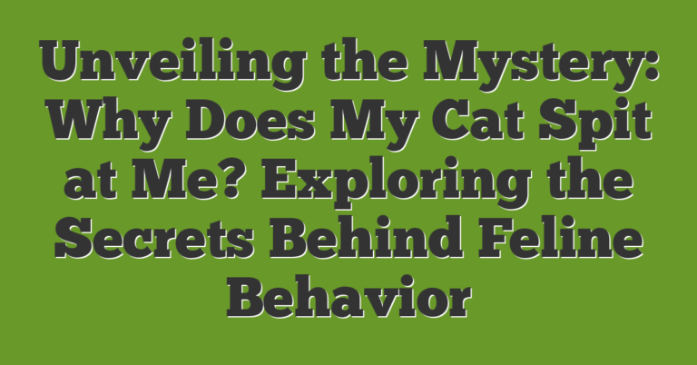 Unveiling The Mystery: Why Does My Cat Spit At Me? Exploring The ...