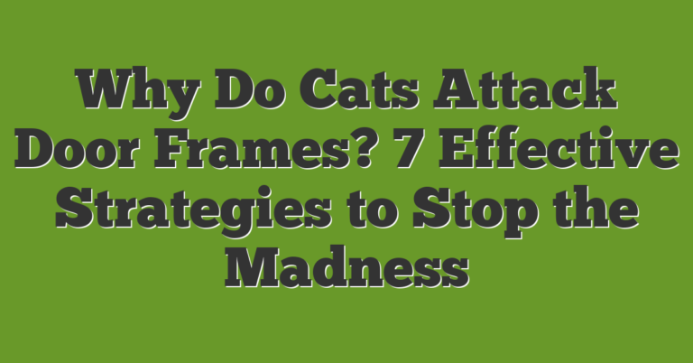 Why Do Cats Attack Door Frames? 7 Effective Strategies To Stop The Madness
