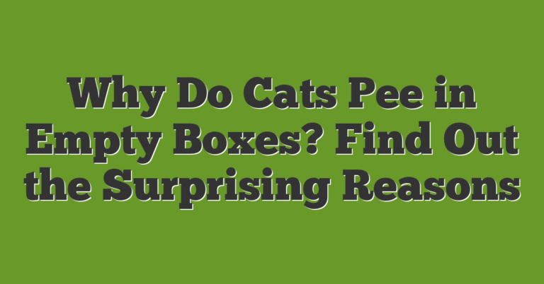 Why Do Cats Pee In Empty Boxes? Find Out The Surprising Reasons