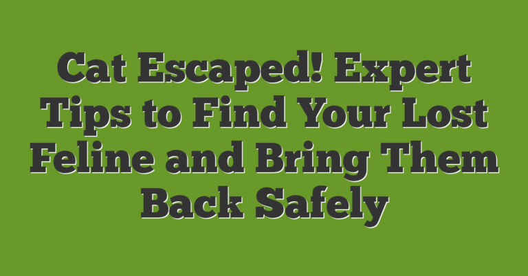 Cat Escaped! Expert Tips To Find Your Lost Feline And Bring Them Back ...