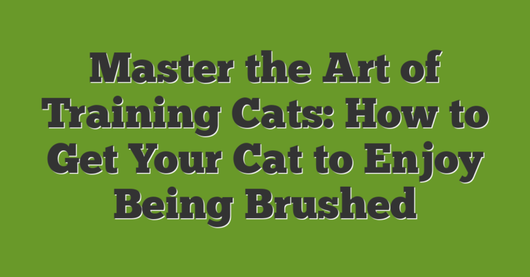Master The Art Of Training Cats: How To Get Your Cat To Enjoy Being Brushed