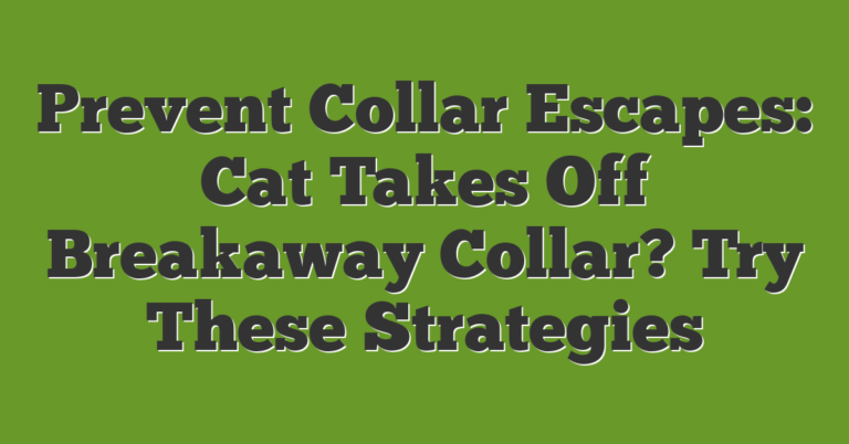 Prevent Collar Escapes: Cat Takes Off Breakaway Collar? Try These ...