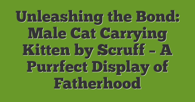Unleashing The Bond: Male Cat Carrying Kitten By Scruff - A Purrfect ...