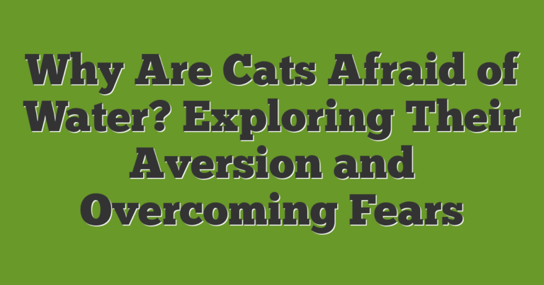 Why Are Cats Afraid Of Water? Exploring Their Aversion And Overcoming Fears