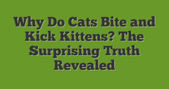 Why Do Cats Bite And Kick Kittens? The Surprising Truth Revealed