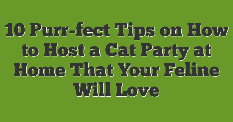 10 Purr-fect Tips On How To Host A Cat Party At Home That Your Feline ...