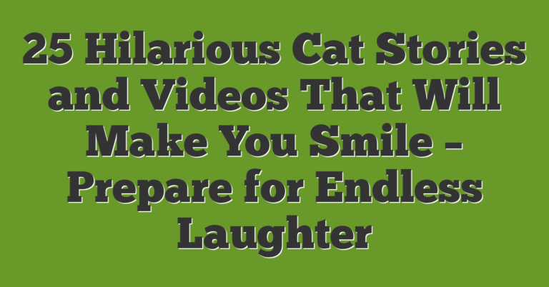 25 Hilarious Cat Stories And Videos That Will Make You Smile – Prepare ...
