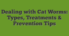 Dealing With Cat Worms: Types, Treatments & Prevention Tips
