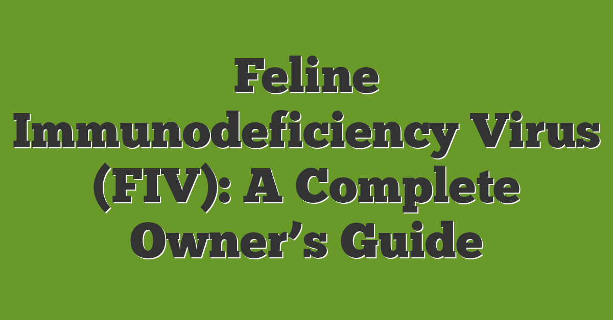 Feline Immunodeficiency Virus (FIV): A Complete Owner's Guide