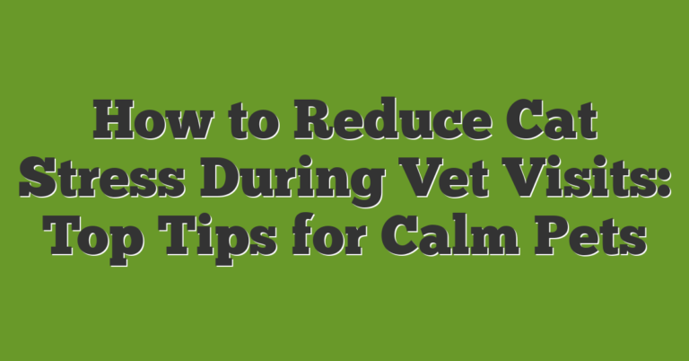 How To Reduce Cat Stress During Vet Visits: Top Tips For Calm Pets