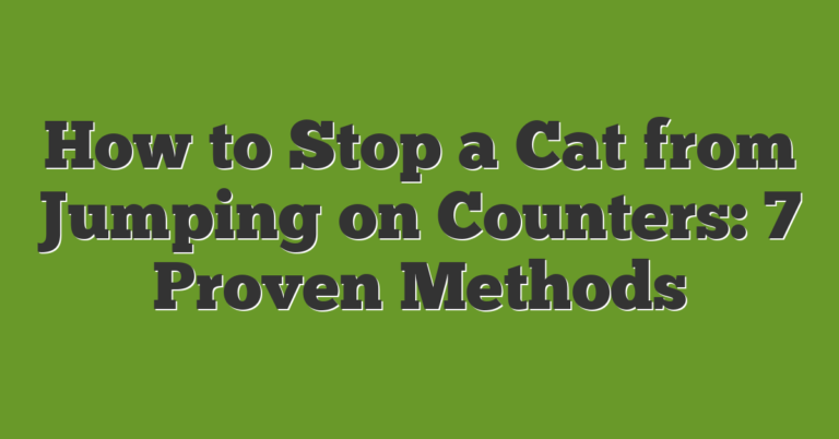 How To Stop A Cat From Jumping On Counters: 7 Proven Methods