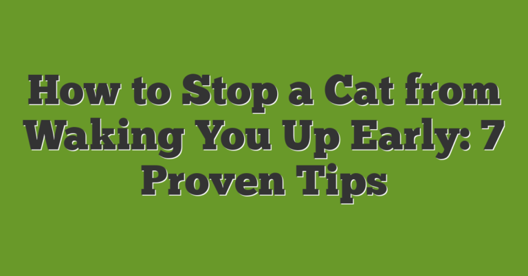 How To Stop A Cat From Waking You Up Early: 7 Proven Tips
