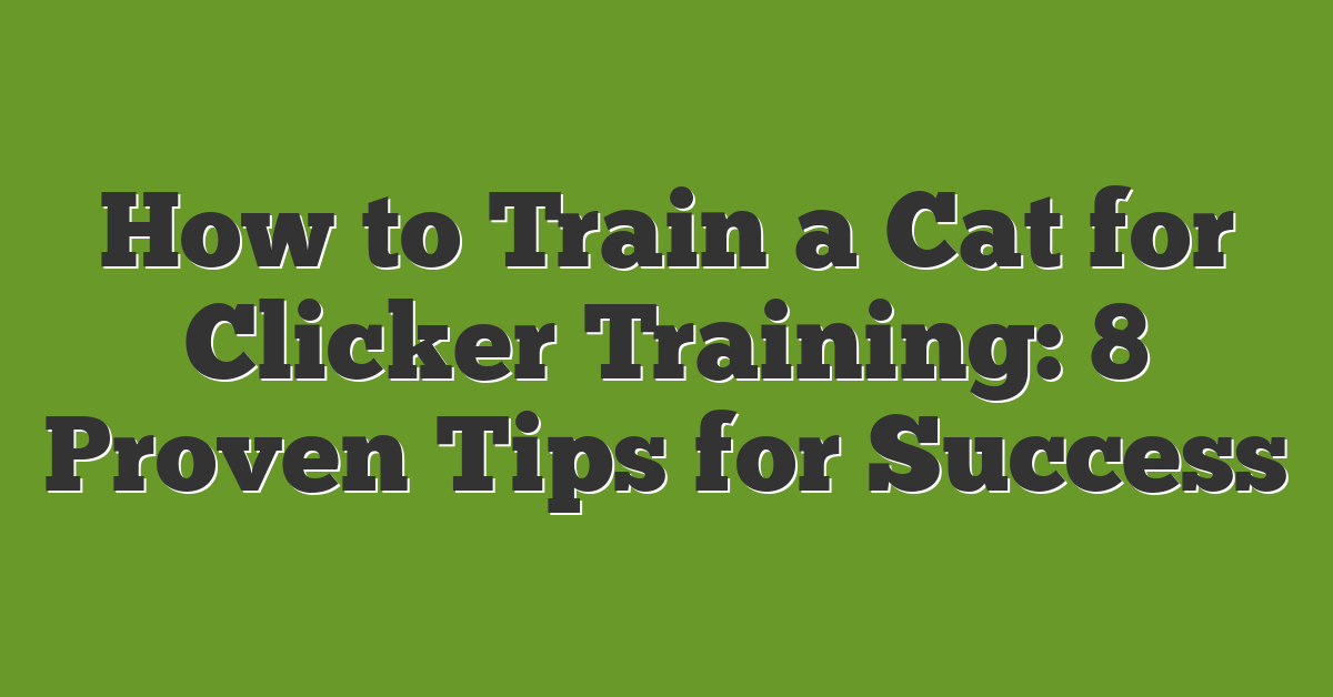 How To Train A Cat For Clicker Training: 8 Proven Tips For Success