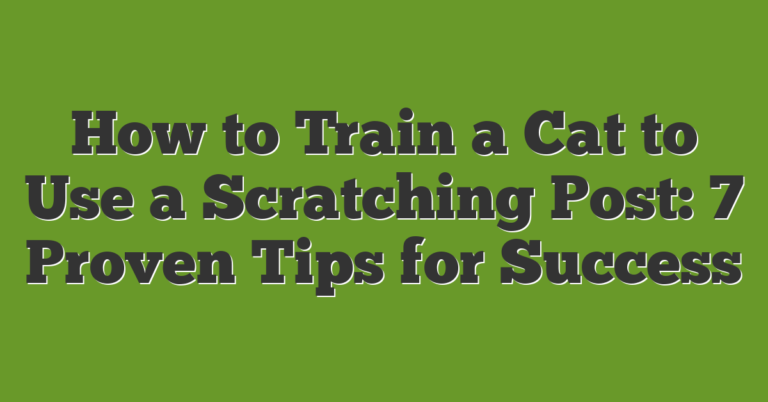 How To Train A Cat To Use A Scratching Post: 7 Proven Tips For Success