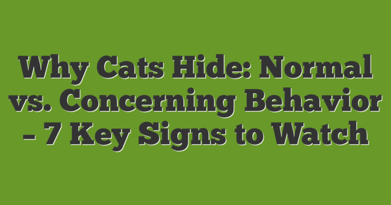 Why Cats Hide: Normal Vs. Concerning Behavior – 7 Key Signs To Watch