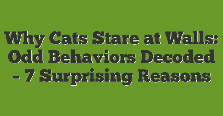 Why Cats Stare At Walls: Odd Behaviors Decoded – 7 Surprising Reasons