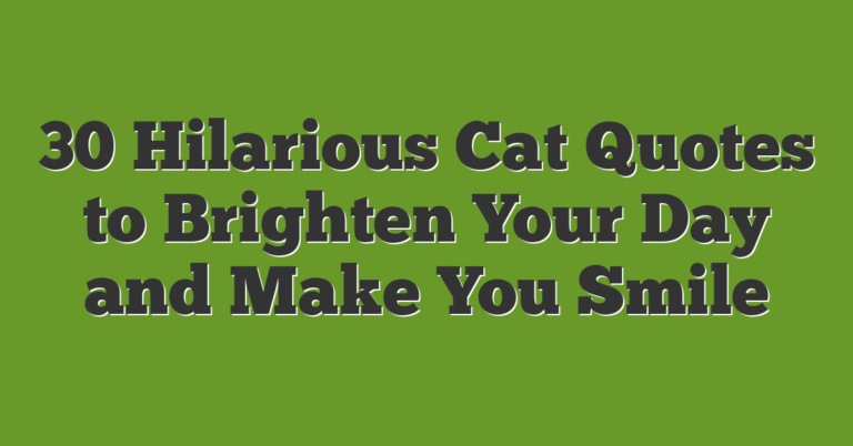 30 Hilarious Cat Quotes To Brighten Your Day And Make You Smile