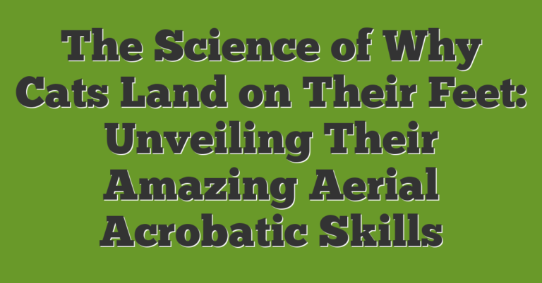 The Science Of Why Cats Land On Their Feet: Unveiling Their Amazing ...