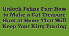 Unlock Feline Fun: How To Make A Cat Treasure Hunt At Home That Will ...